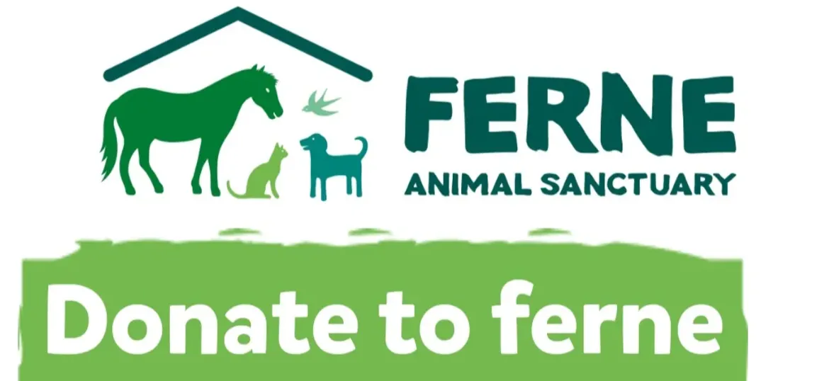 The Ferne Animal Sanctuary: Danielle Gilpin's fundraising page