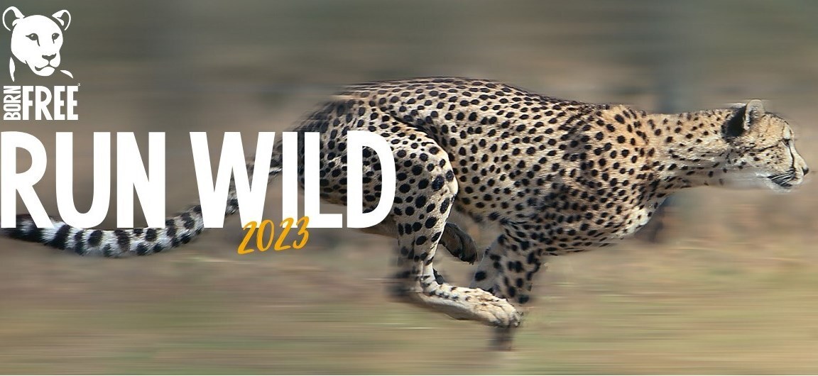 The Born Free Foundation: Steve Sudlow