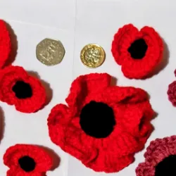 Royal British Legion: Poppy Crafting