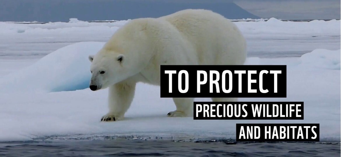 WWF - UK: Anna Vicari's fundraise page