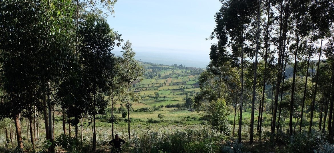 Dig Deep (Challenges): Walk for Water