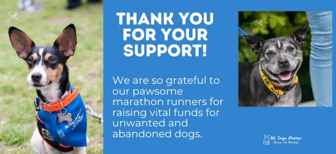 All Dogs Matter Rescue & Rehoming Charity